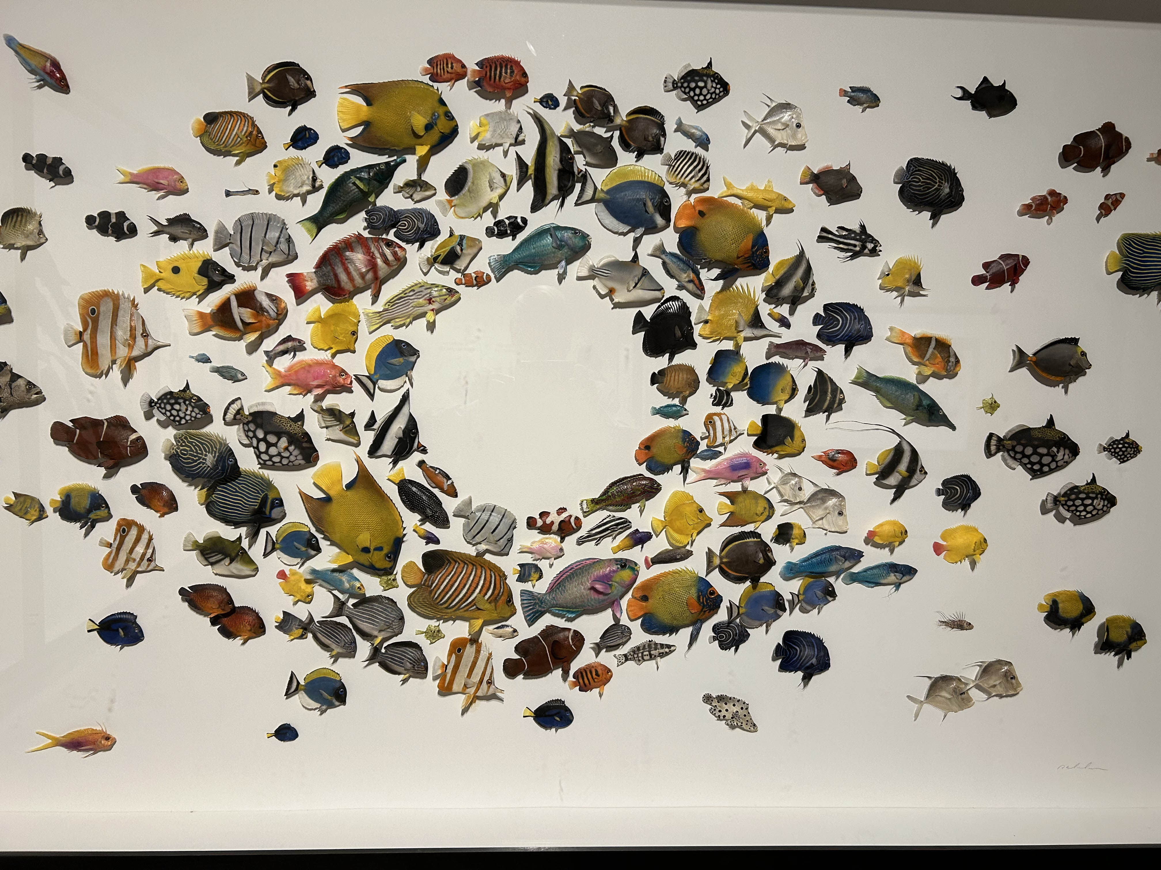 Exquisite Creatures; thoughts on the intersection of art and nature